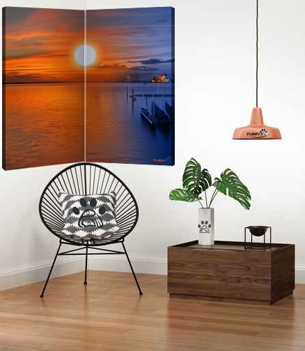 FURRY PAW VENICE SUNSET CORNER PANEL SIGNATURE ART
